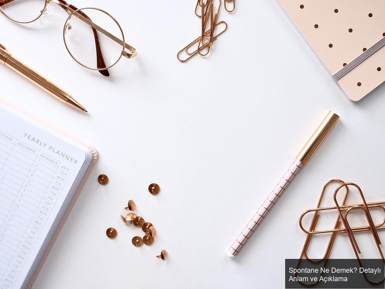 Spontane Ne Demek? Detaylı Anlam Ve Açıklama (2025) - AileBlog